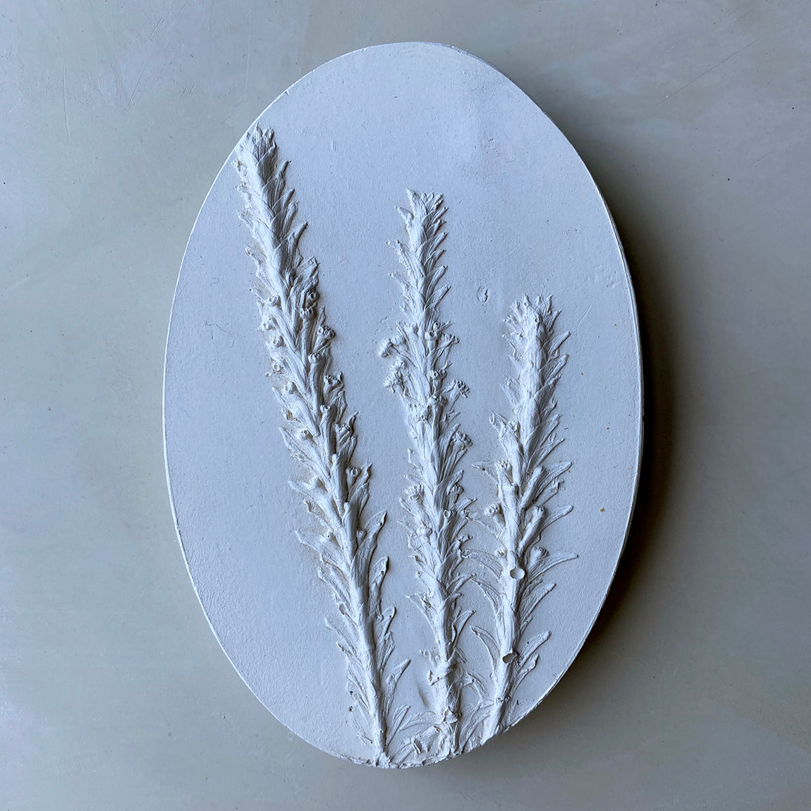 Original Botanical Cast - Mini Ovals 2024 - no5 – Natascha van Niekerk ...