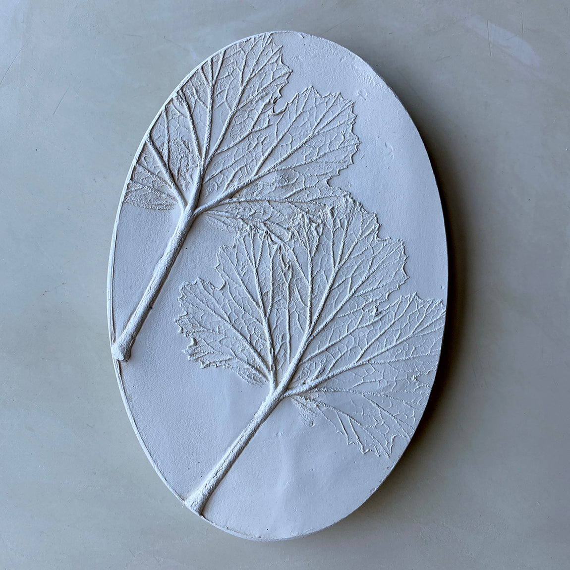 Original Botanical Cast - Mini Ovals 2024 - no8 – Natascha van Niekerk ...