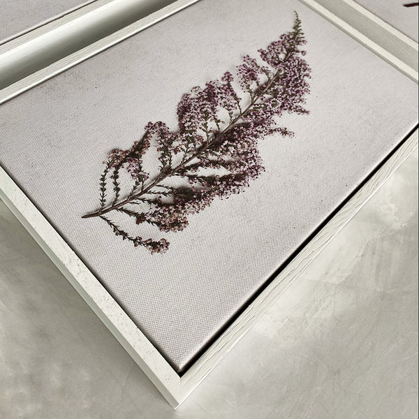 Fynbos Garden - 4x A4 Art prints – Natascha van Niekerk Fine Art ...