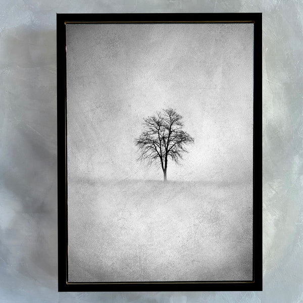 Lone Tree 1 BW - 100x150cm Art print – Natascha van Niekerk Fine Art ...